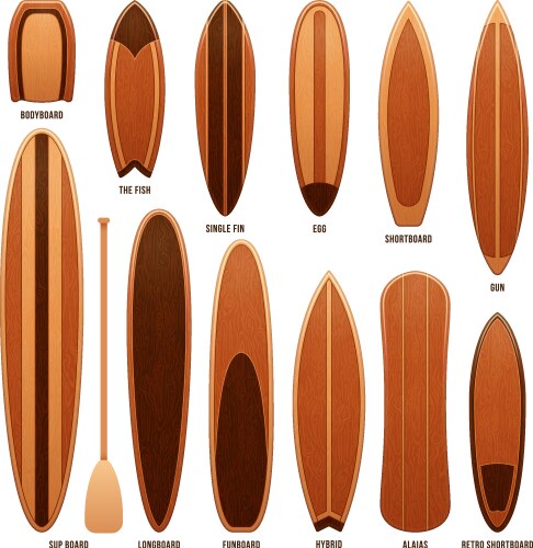 Set of isolated different types surfboards Vector Image