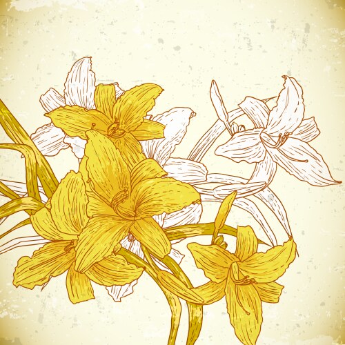 Lilies pattern Royalty Free Vector Image - VectorStock