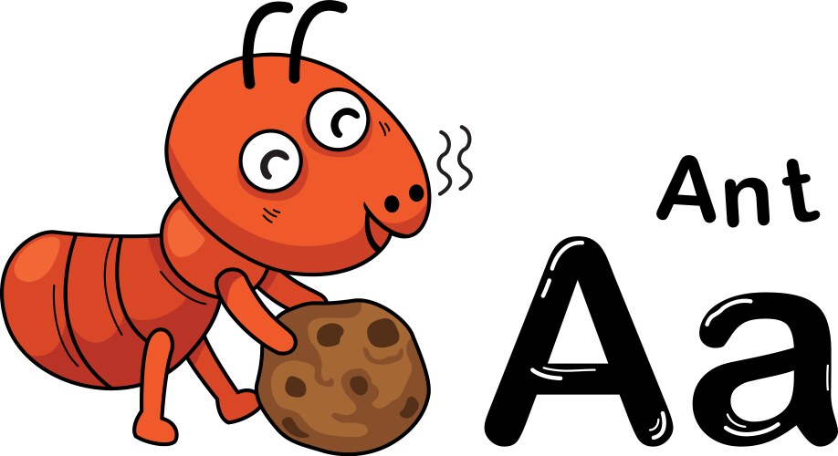 Alphabet letter a-airplane ant alligator Vector Image