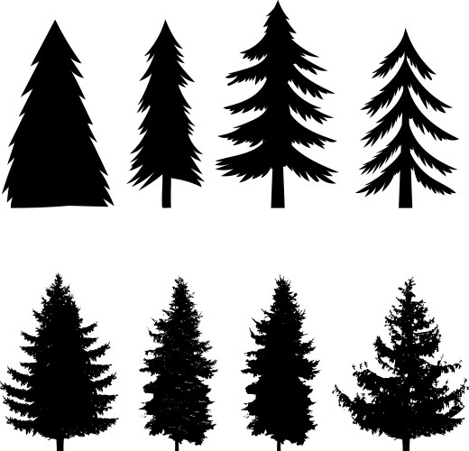 Pine Tree Vector Images (over 150,000)