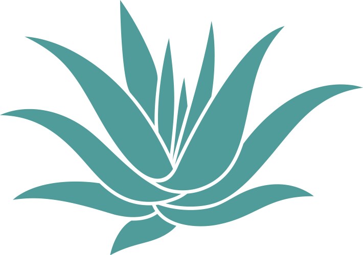 Blue agave plant silhouette Royalty Free Vector Image