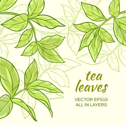 Tea branch floral seamless pattern leaves Vector Image