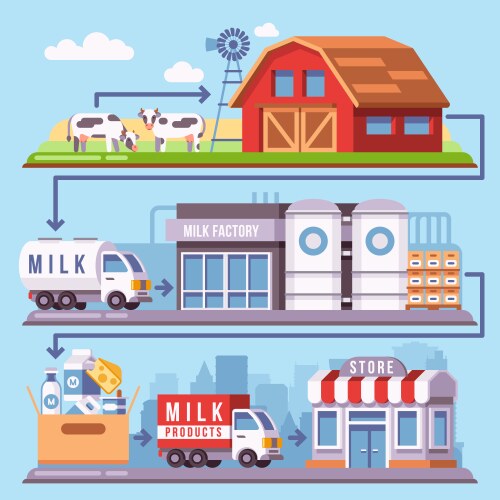 Milk dairy products infographic layout poster Vector Image