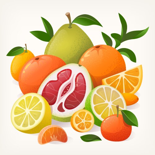 Citrus Fruit Vector Images (over 85,000)