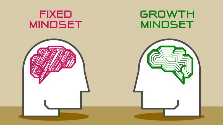 Difference between a fixed vs growth mindset Vector Image
