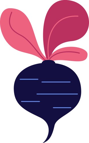 Beet Vector Images (over 16,000)