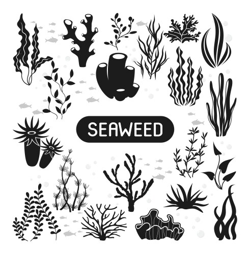 Coral Silhouette Vector Images (over 11,000)