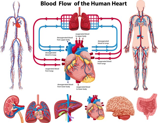 Blood Cartoon Vector Images (over 32,000)
