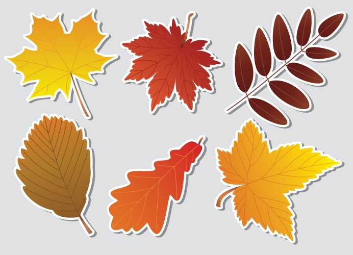 Fall Leaves Vector Images (over 81,000)