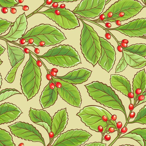 Yerba mate frame Royalty Free Vector Image - VectorStock