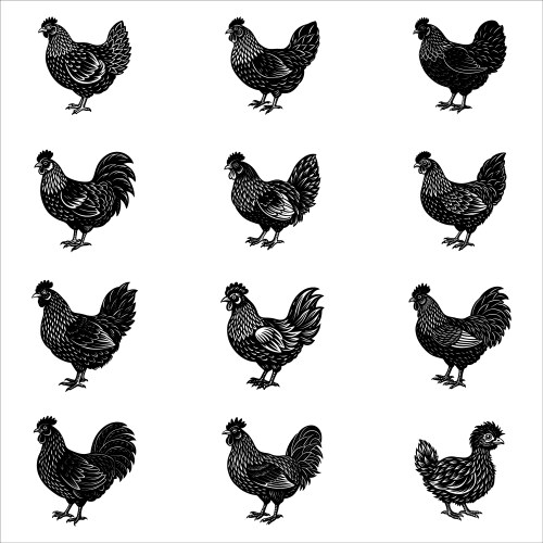 Chicken Vector Images (over 220,000)