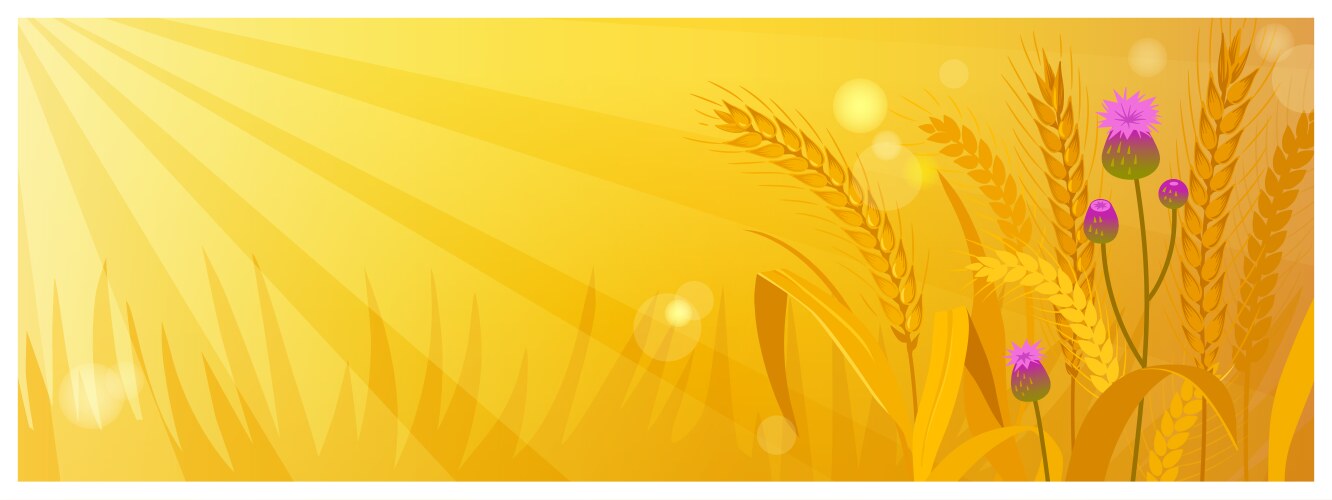 Field Royalty Free Vector Image - VectorStock