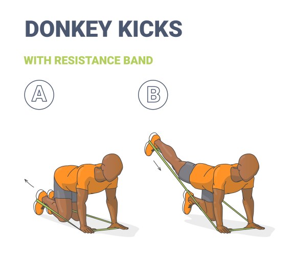 Donkey Kicks Exercise Vector Images (54)