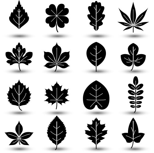 Leaf Vector Images (over 2.1 million)