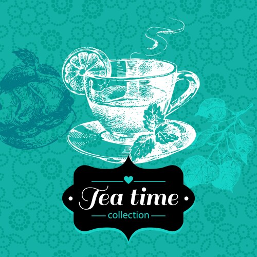 Tea vintage background hand drawn sketch Vector Image
