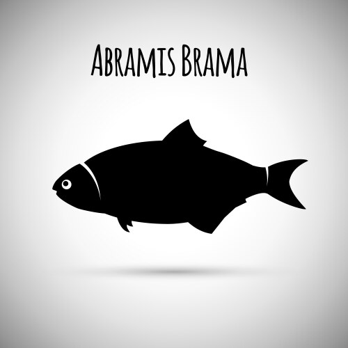Bream Vector Images (over 1,000)