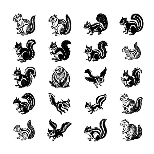 Squirrel Outline Vector Images (over 3,800)