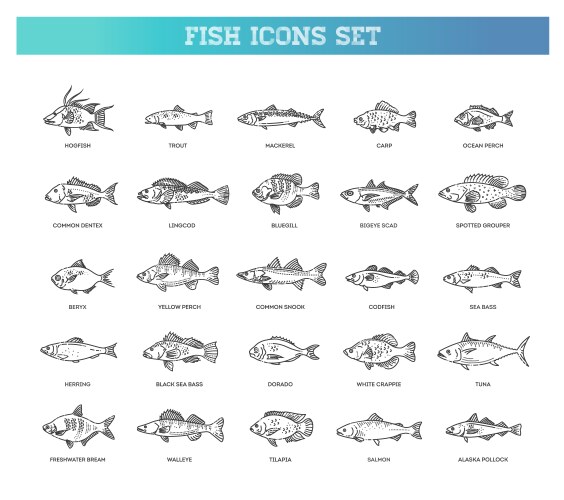 Fish Outline Vector Images (over 110,000)