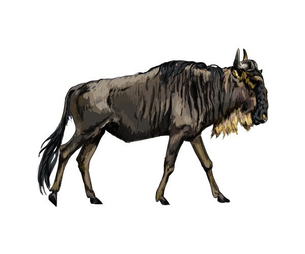Wildebeest Royalty Free Vector Image - VectorStock