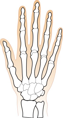 Cartoon hands set Royalty Free Vector Image - VectorStock