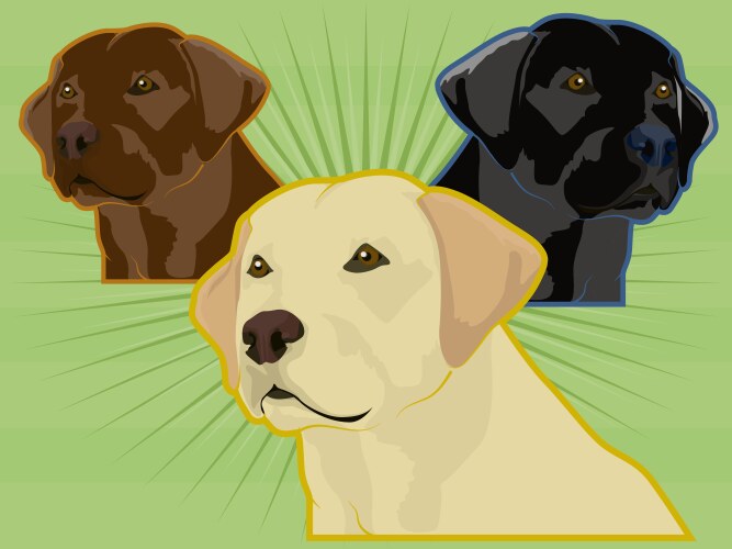 Labrador Vector Images (over 12,000)