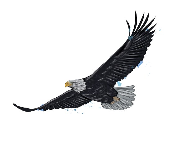 Eagle Royalty Free Vector Image - VectorStock