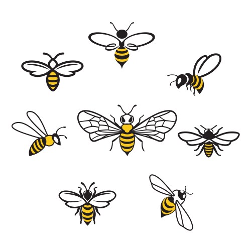 Honey Bee Vector Images (over 68,000)