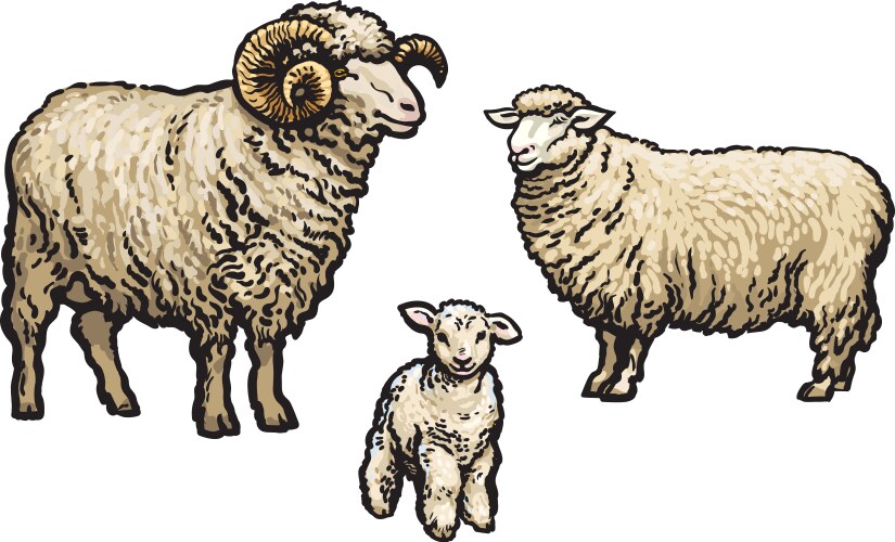 Sheep Vector Images (over 58,000)