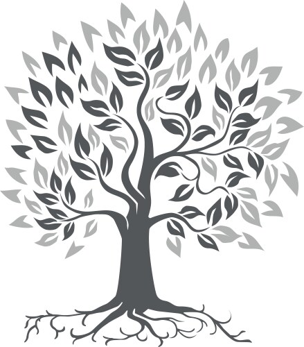 Tree Roots Vector Images (over 20,000)