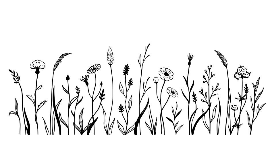Abstract meadow line with grass and flowers Vector Image