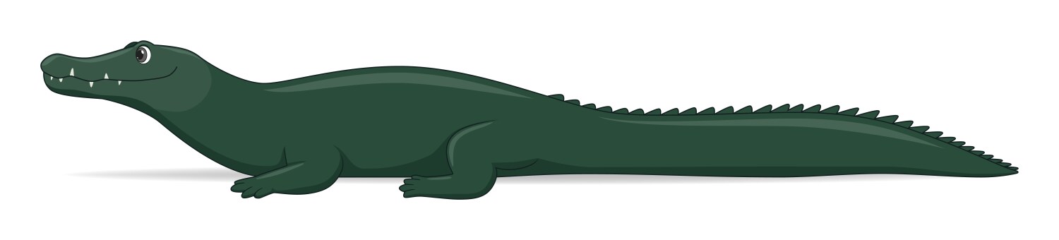 Caiman Vector Images (over 1,000)