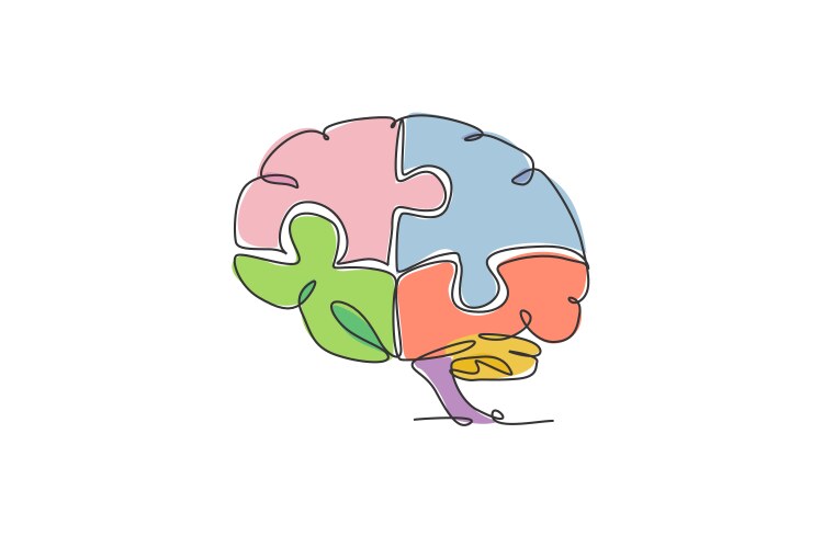 Human brain functional scheme Royalty Free Vector Image