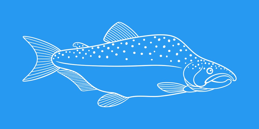Haddock Royalty Free Vector Image - VectorStock