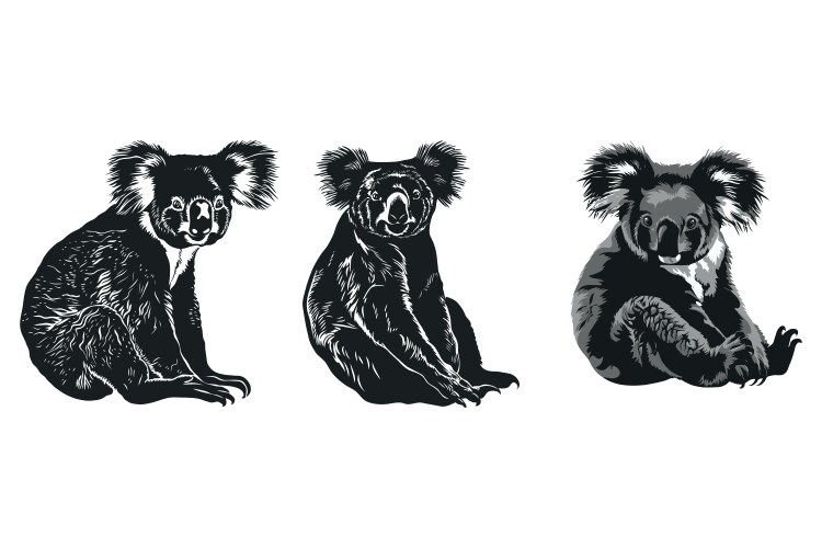 Koala Vector Images (over 18,000)