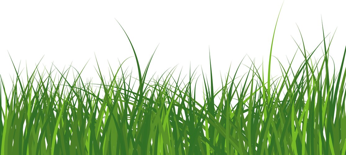 Green grass meadow Royalty Free Vector Image - VectorStock