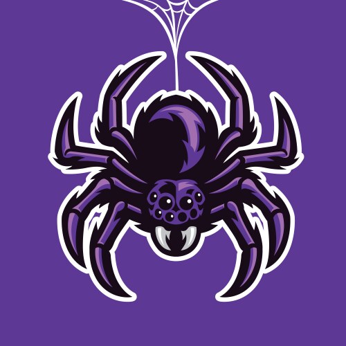 Spider Web Logo Vector Images (over 5,700)