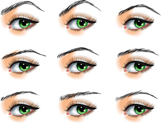 Eyebrows Vector Images (over 25,000)