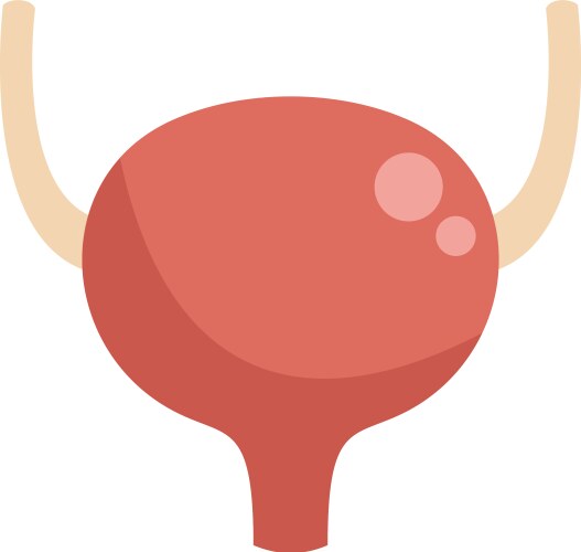 Urinary Incontinence Icon Vector Images (over 370)