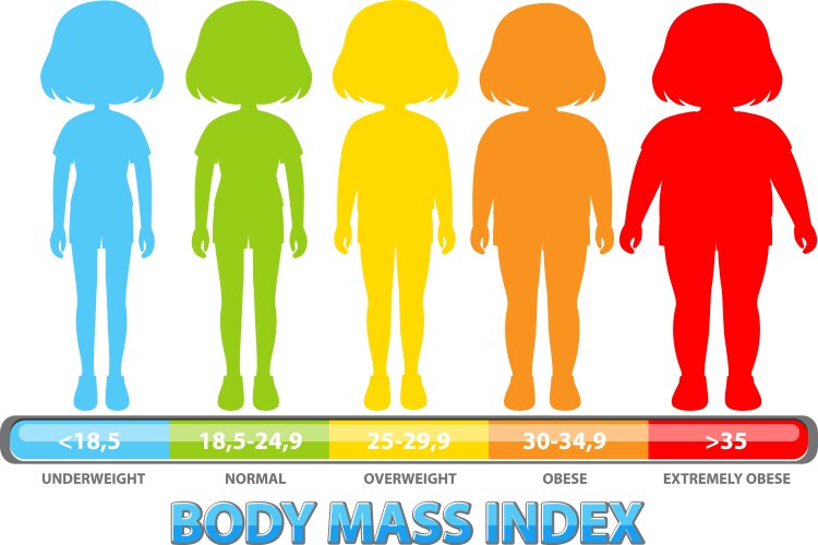 Bmi Vector Images (over 1,400)