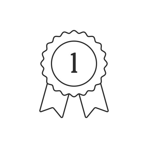 Certificate badge award icon premium quality Vector Image