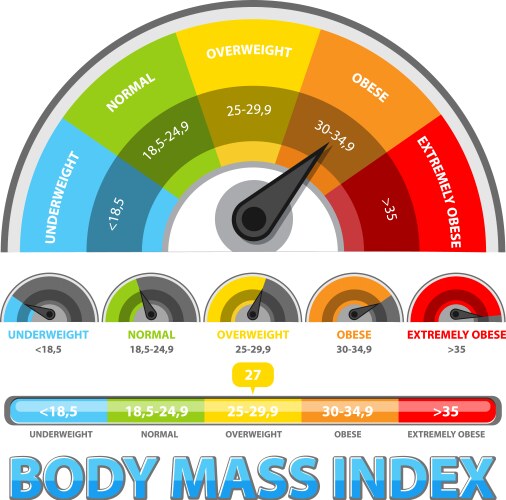 Bmi Scale Vector Images (over 420)