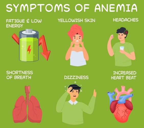 Anemia symptoms icons Royalty Free Vector Image