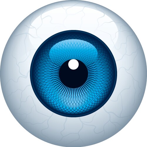 Cartoon eye Royalty Free Vector Image - VectorStock