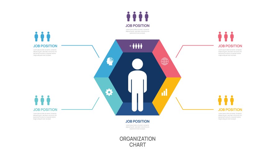 Infographic template for organization chart Vector Image
