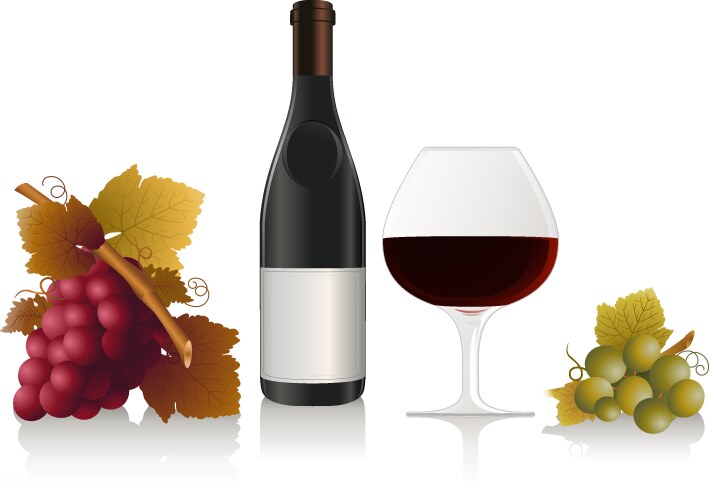 Set of wine grapes design elements Royalty Free Vector Image