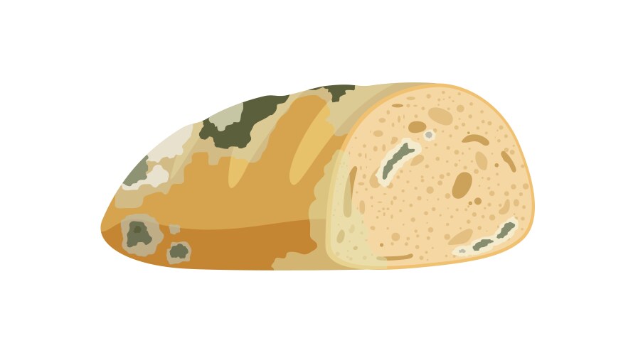 Spoiled Food Vector Images (over 980)