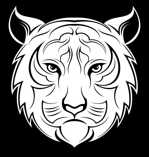 White tiger face Royalty Free Vector Image - VectorStock