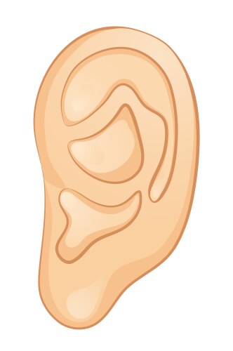 Ear Vector Images (over 210,000)
