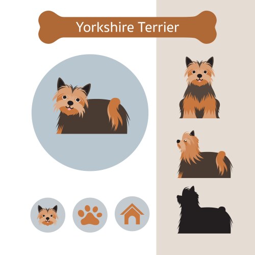 Yorkshire Terrier Vector Images (over 2,100)