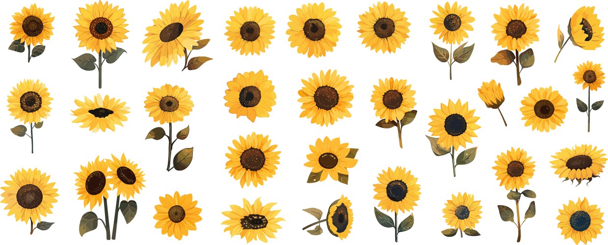 Sunflower Cartoon Vector Images (over 11,000)